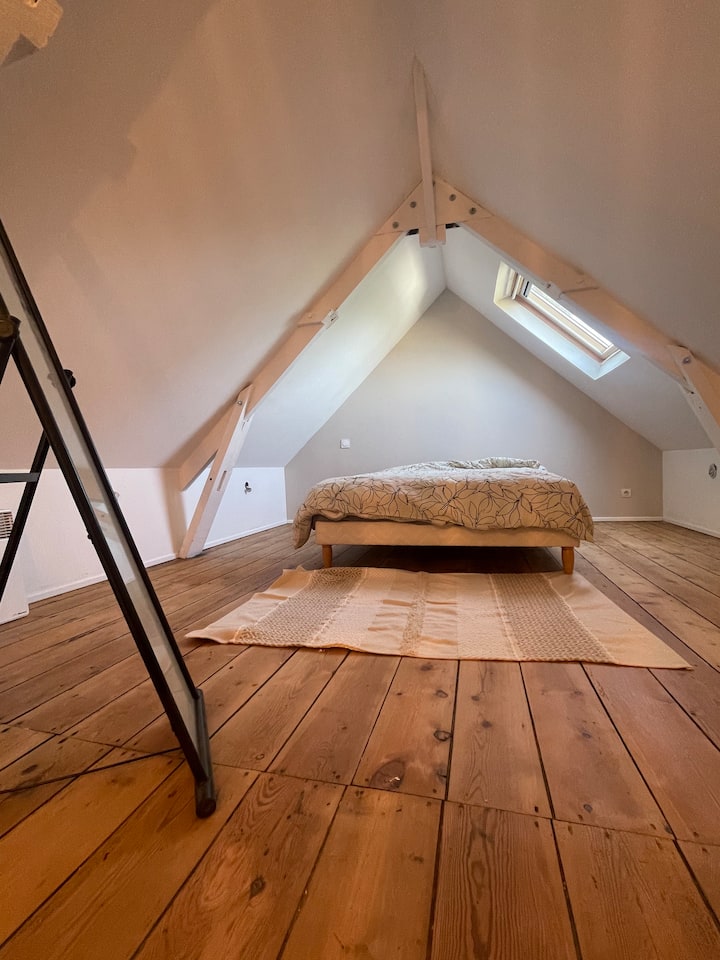 Duplex - Guingamp
