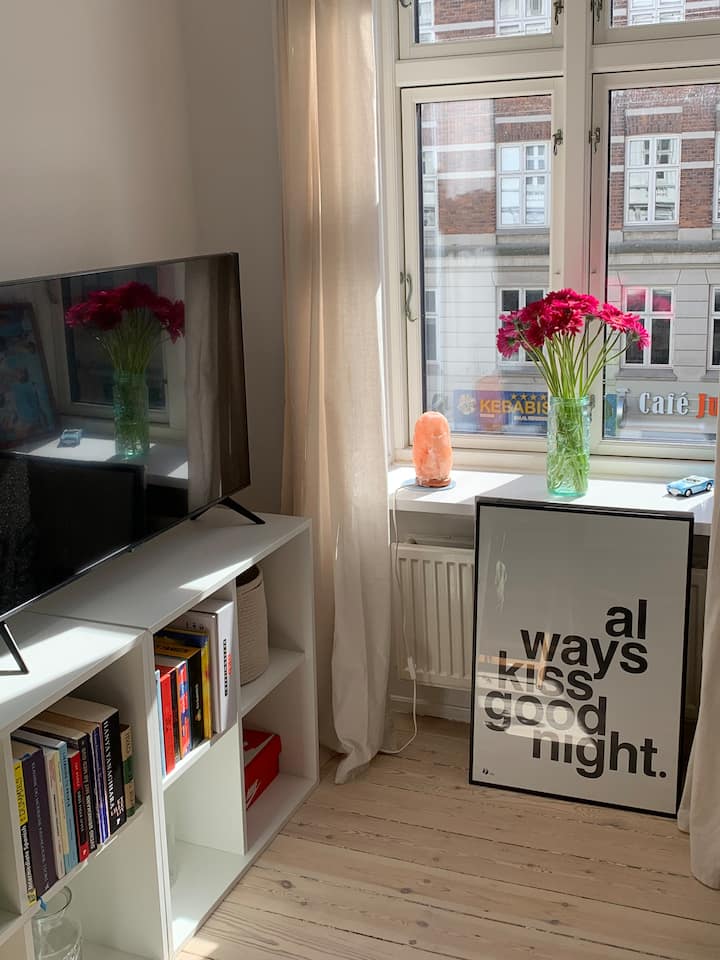 Hyggelig Lejlighed På Vesterbro - Copenhaguen