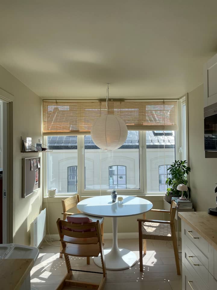 Romslig Leilighet På Tøyen - Oslo