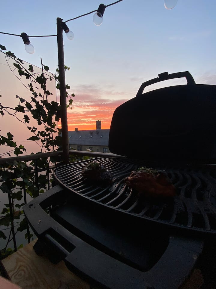 Herskabslejlighed Med Aftensol. - Copenhague