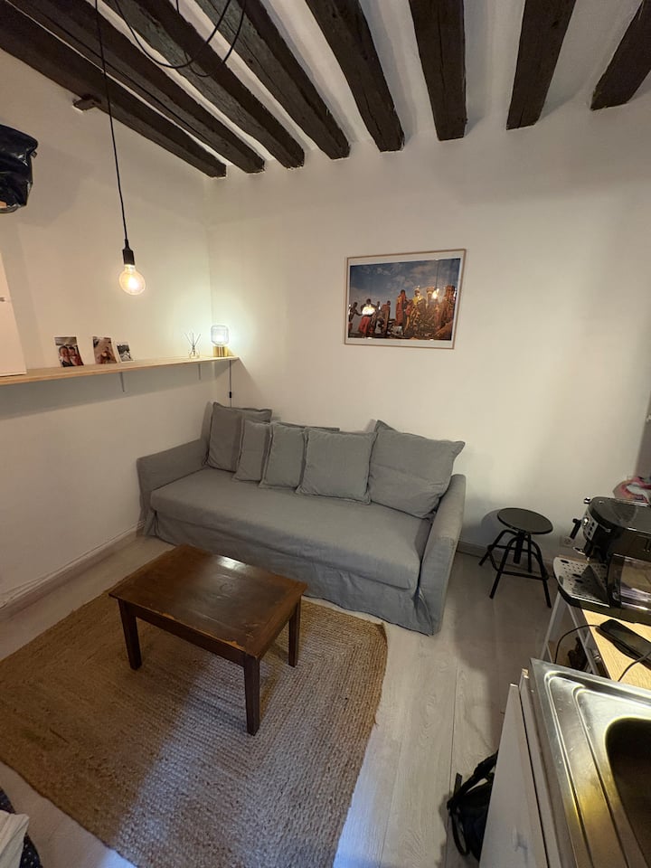 Tiny Studio In Paris Le Marais - Paris