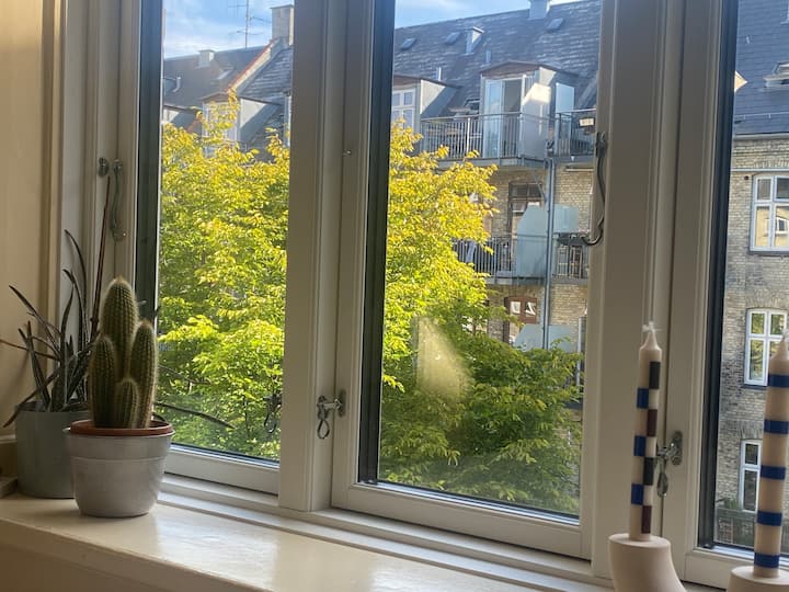 Mi Casa - Copenhaguen