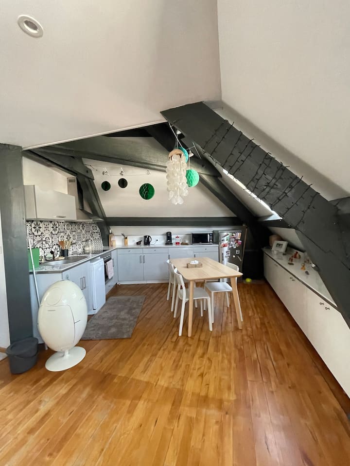 Appartement Au Cœur De Chambéry - Chambéry