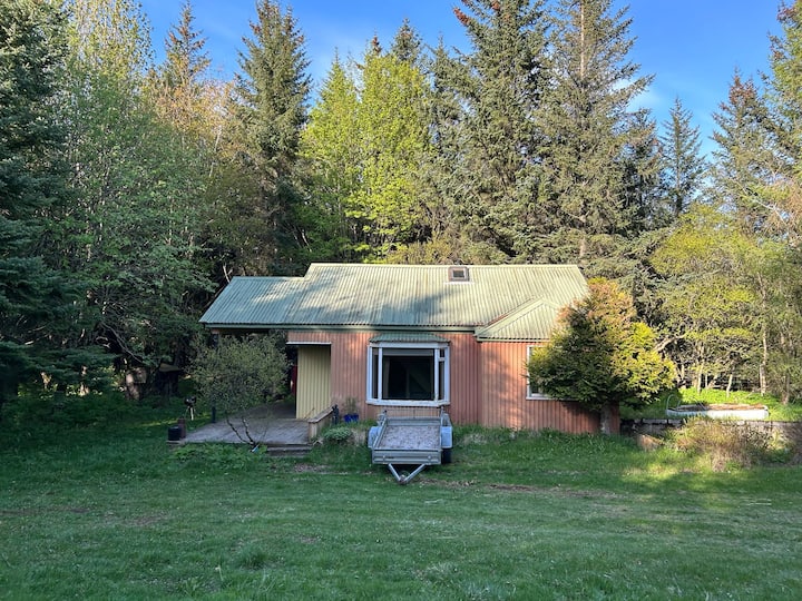 Cottage, Nestled In The Trees - アイスランド