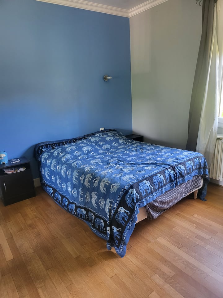 Chambre Partagée - Gray