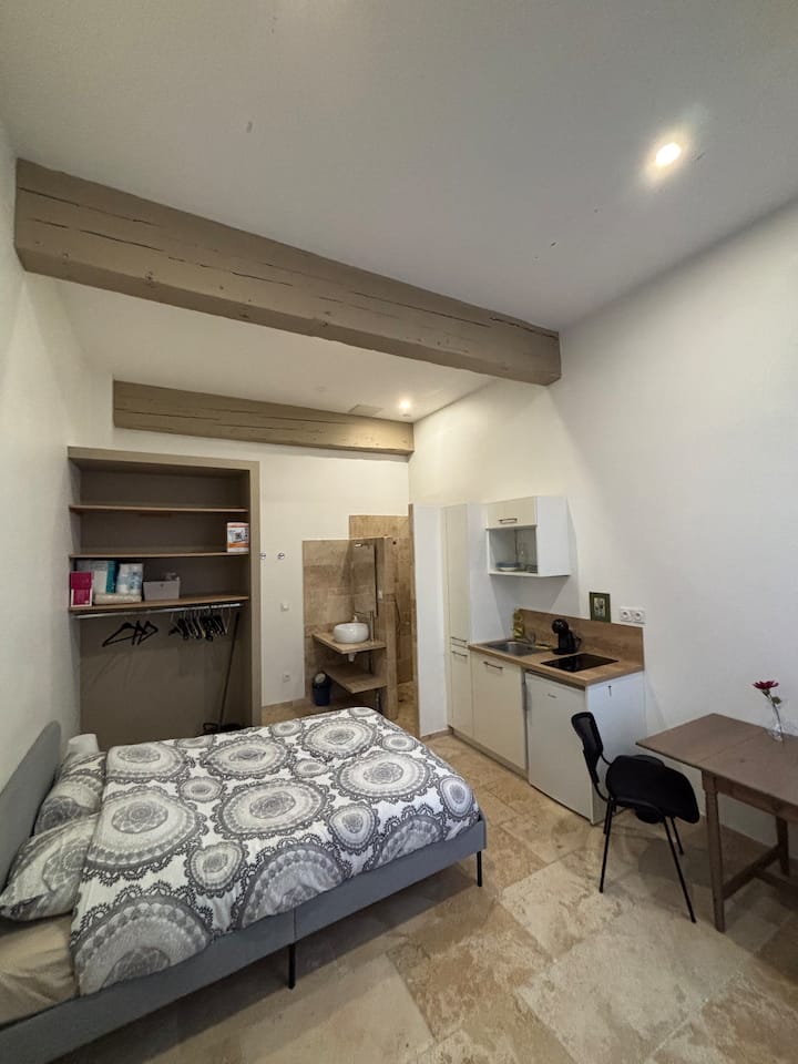 Studio Hyper Centre De Grenoble - Grenoble