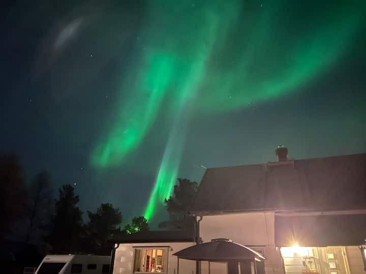 Rom I Alta For En Gjest
På Jakt Etter Nordlyset - Alta