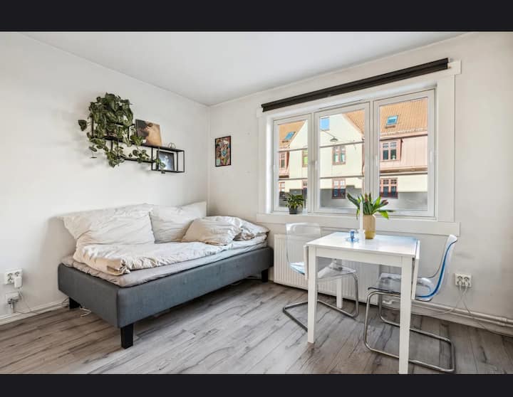 Cosy & Central Apartment In Oslo - Oslo