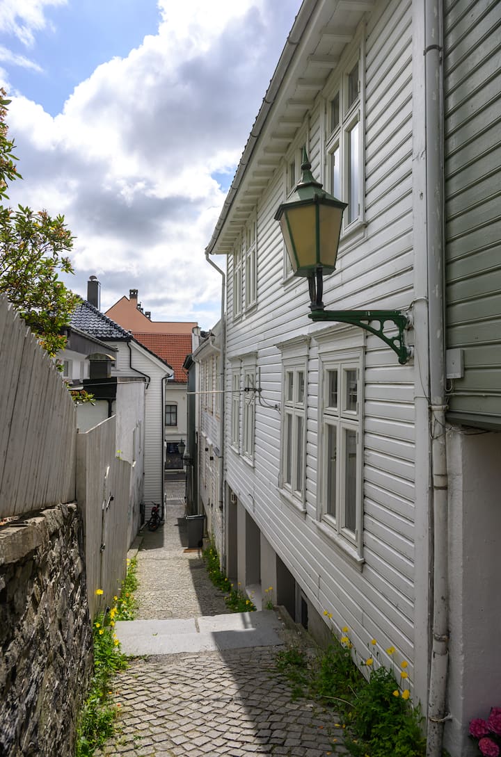 Delightful Apartment - 1 Min From Bryggen - Bergen