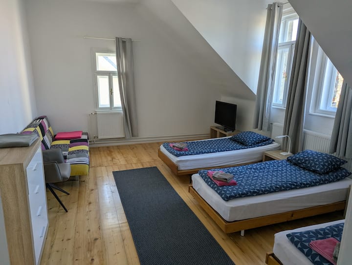 Villa Lavida - Walking Distance To The City Center - 盧布爾雅那