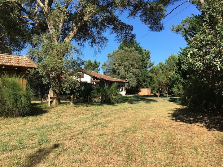 Studio Dans Les Pins - Saint-Girons Plage