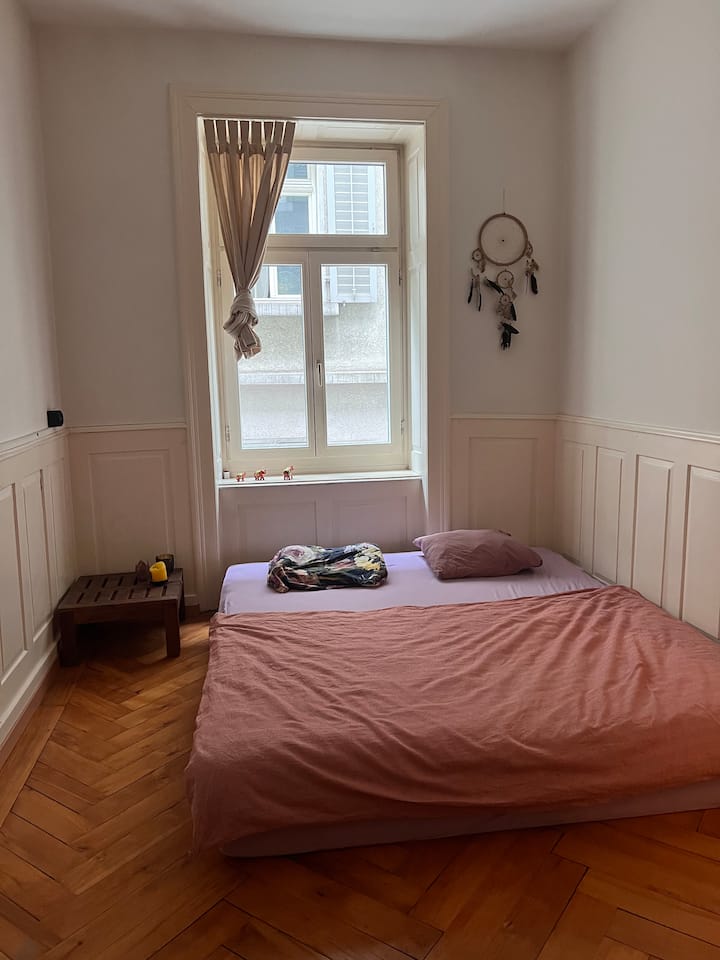 Cozy Room In Central Zurich - Zürich