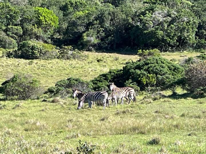 Imbabala Eco Lodge - Kenton-on-Sea