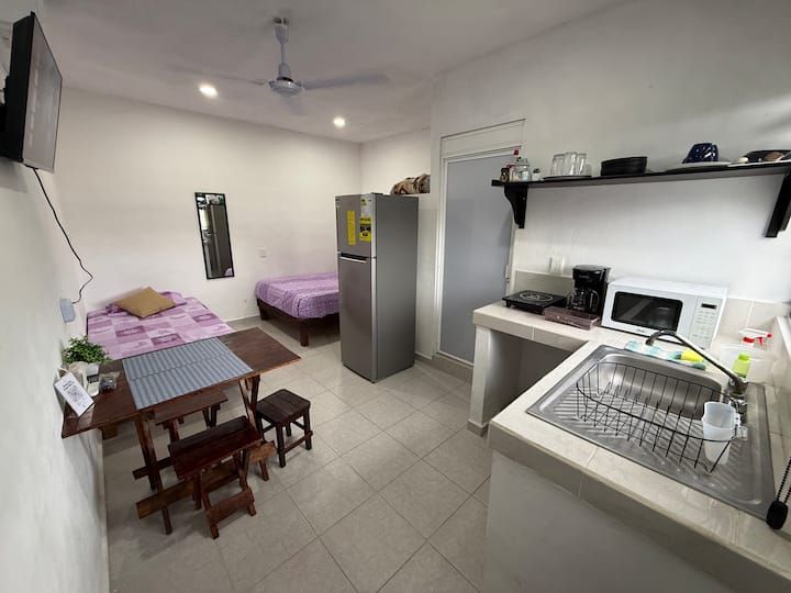 Estudio 1 | Sm 510 | Imss Hgr 17 | Gran Plaza - Cancún