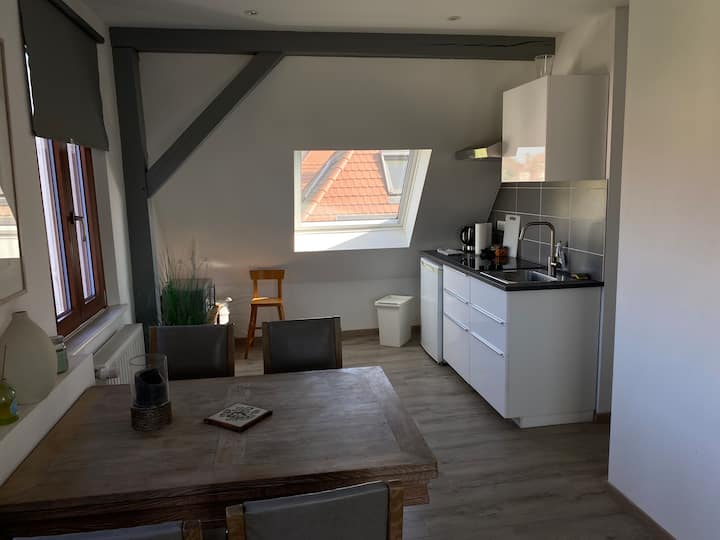 Perfect Strasbourg Apartment - Strasbourg