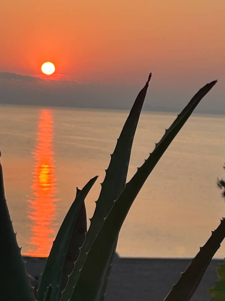 In Riva Al Mare! - Patti