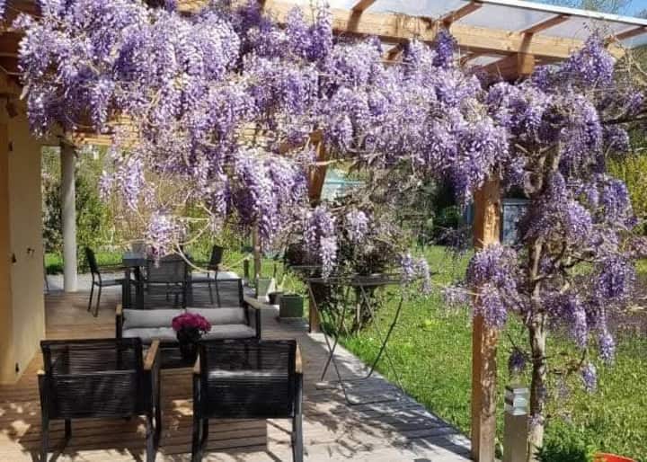 Maison+ Jardin Proche De Genève - Annemasse