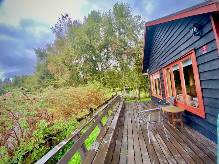 Cabaña Vista Al Lago - Lago Ranco
