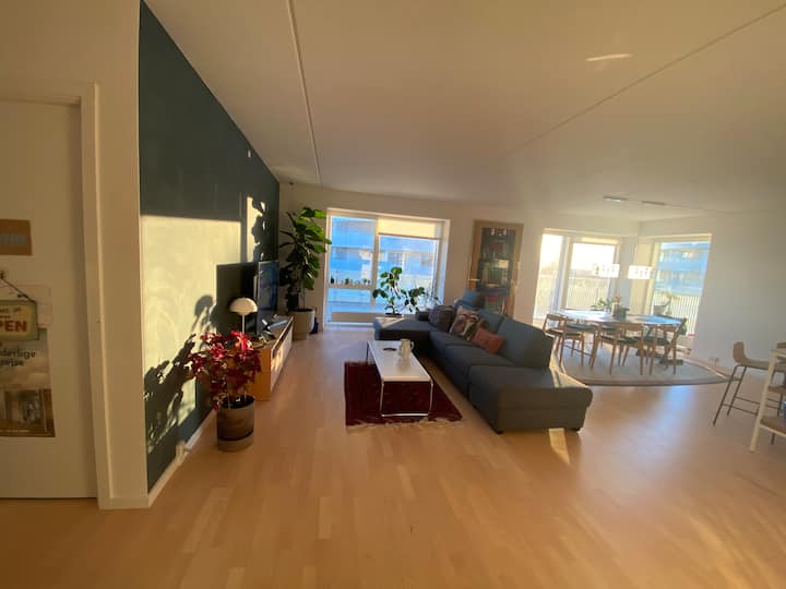 10th Floor Penthouse Appartment. 10mins From City - Copenhague