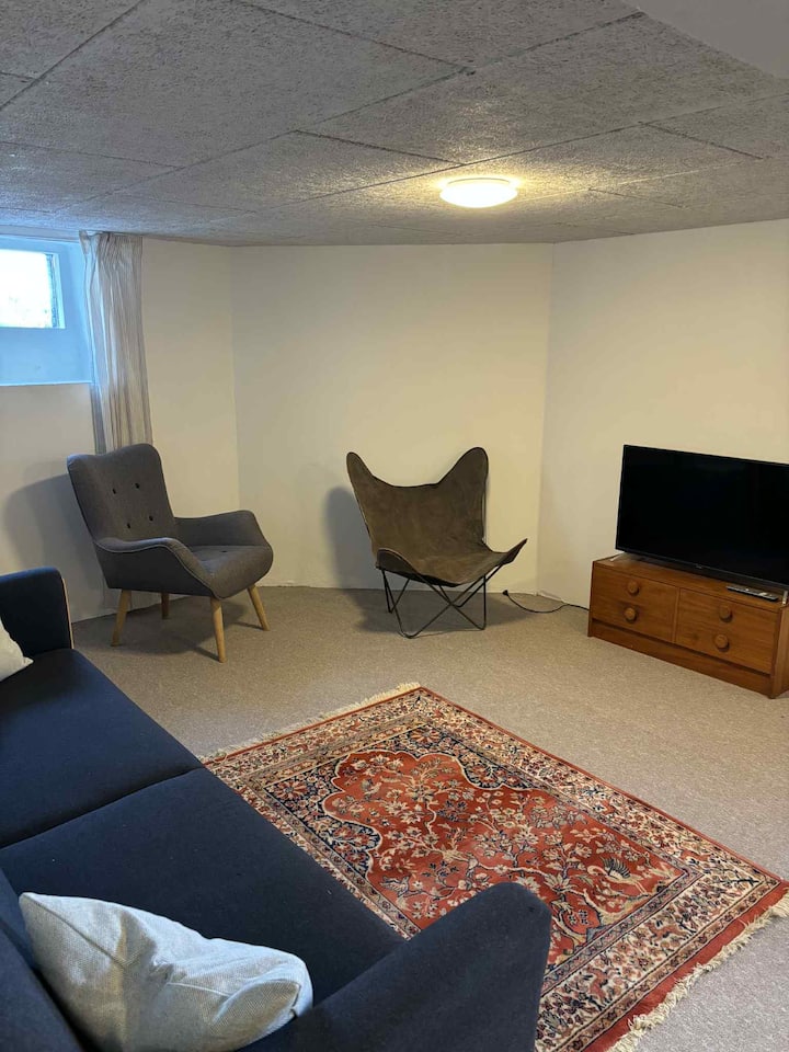 Rummelig Kælderlejlighed - Aarhus