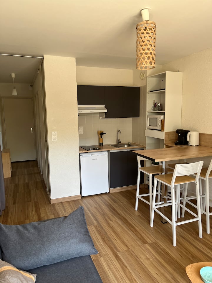 Appartement T1 Saint Lary Soulan - Arreau