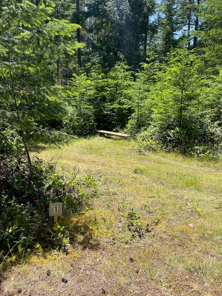 Denman Island Forest Campsite 1 - 宏比島