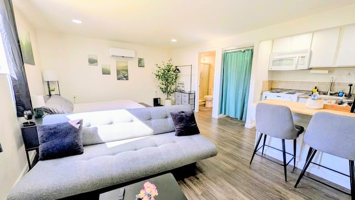 Modern Studio Between Downtown & Airport - Sacramento, CA