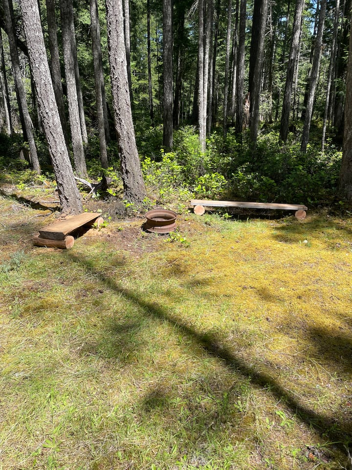 Denman Island Forest Campsite 3 - Hornby Island