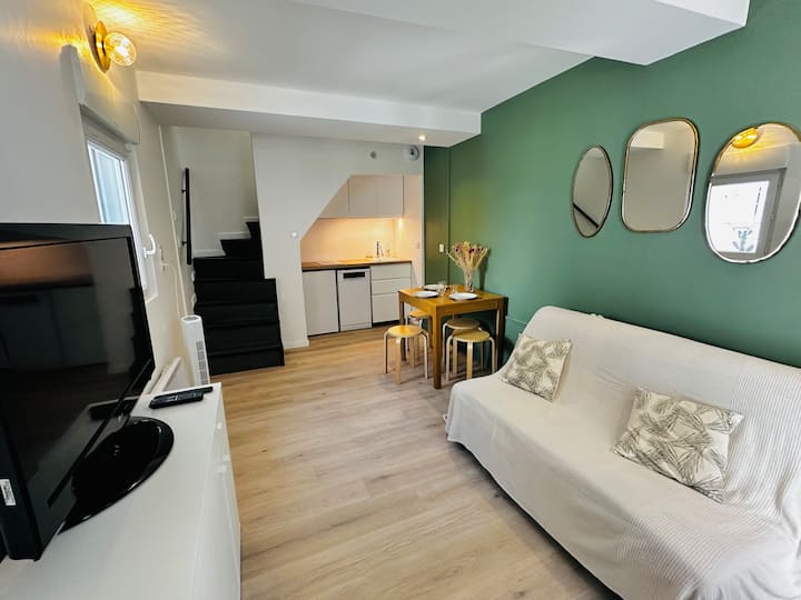 Maison Climatisée T2 Avec Terrasse Rue Piétonne - Pérols