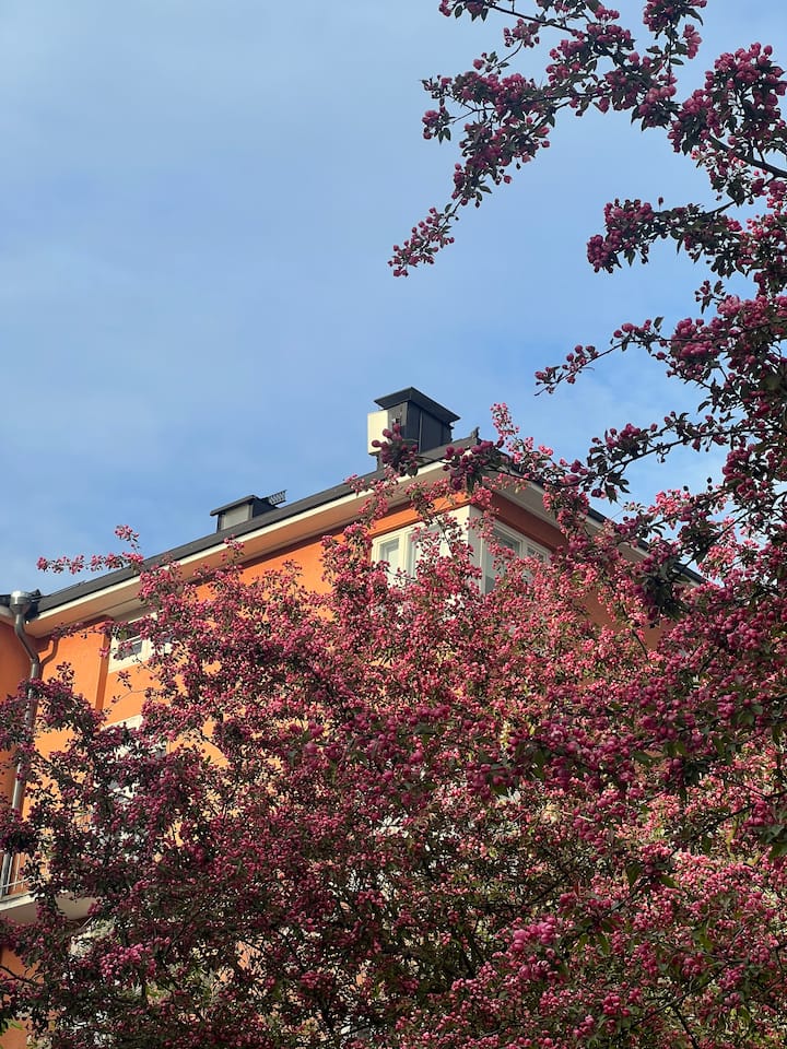 Yksiö Kalliossa - Helsinki