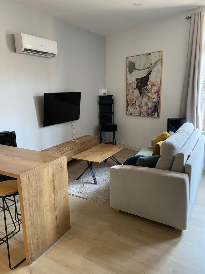 Lou Occitan - Cozy Apartment In The Center Of Béziers - Sérignan