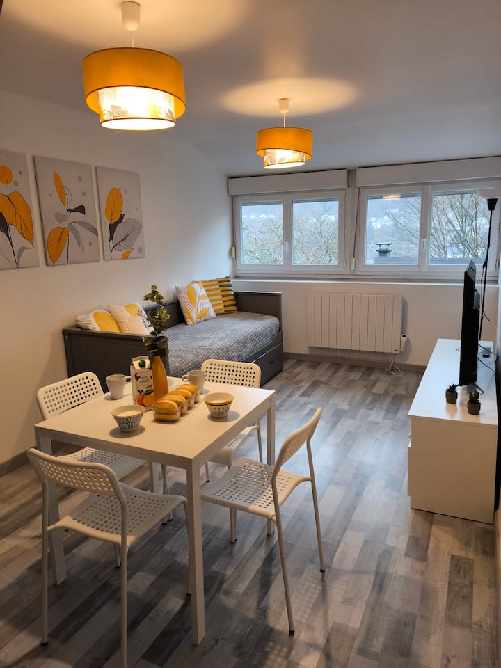 L'or Des Cimes - Apt Avec Mezzanine - Puy de Sancy