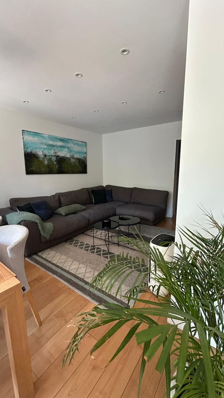 Appartement Moderne Au 2e éTage - Annemasse