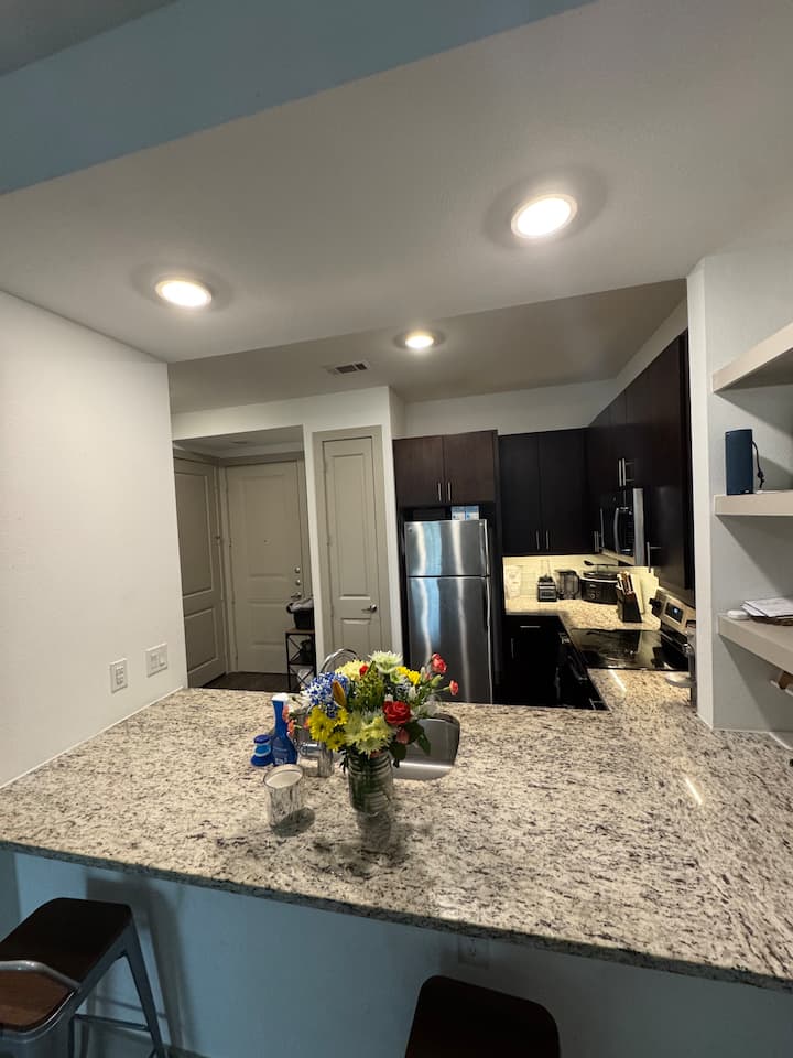 Apartment In Dallas - Coppell, TX