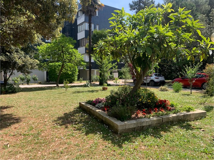 Maringradopineta Appartamento Con Grande Terrazza - Grado