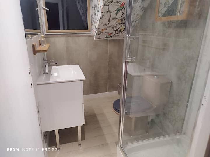 Studio Perroquet Vieille Ville Annecy - Annecy