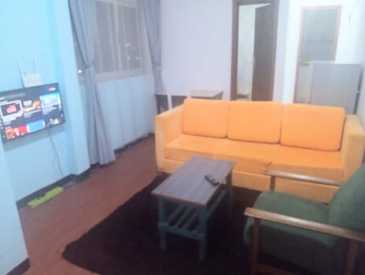 One Bedroom Apartment For Rent In Addis Ababa - Addis Ababa
