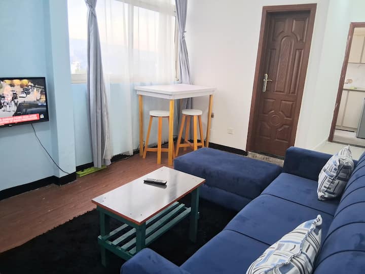 One Bedroom Apartment For Rent In Addis Ababa - アジス・アベバ
