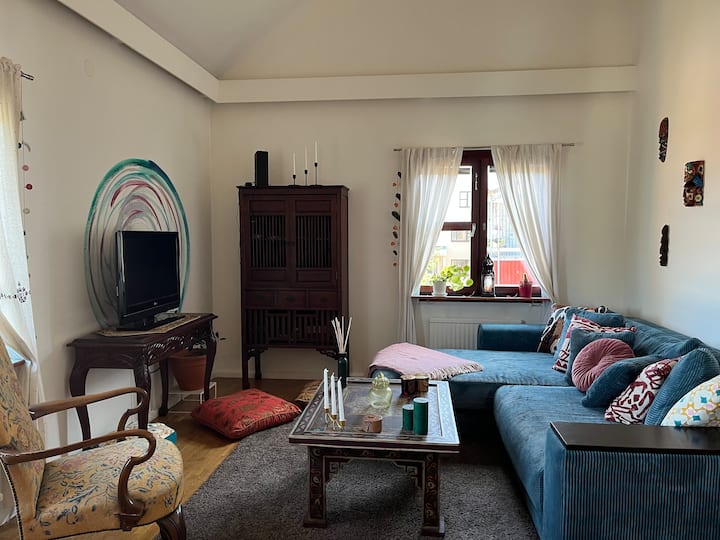 Spacious And Sunny Apartment - Stockholm