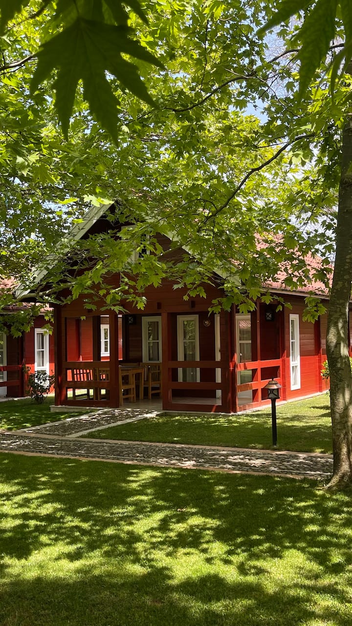 İKi Katlı Ahşap Bungalov - Ünye