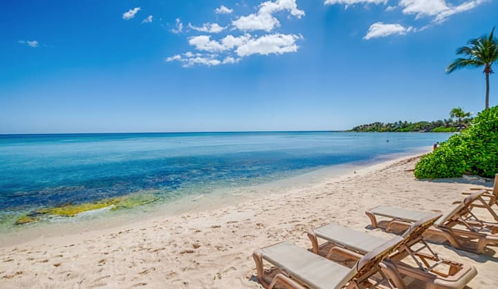 Beachfront Condo At Akumal U7 - Akumal