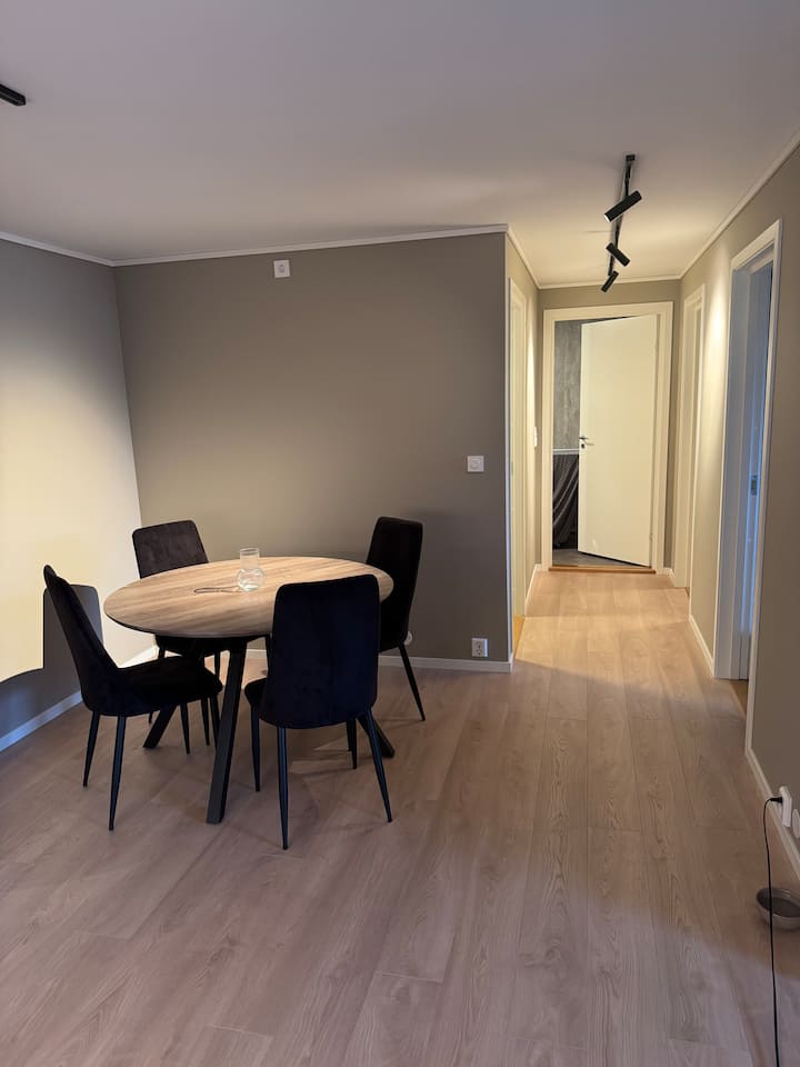 Moderne Leiligheit Med Havutsikt - Kaupanger