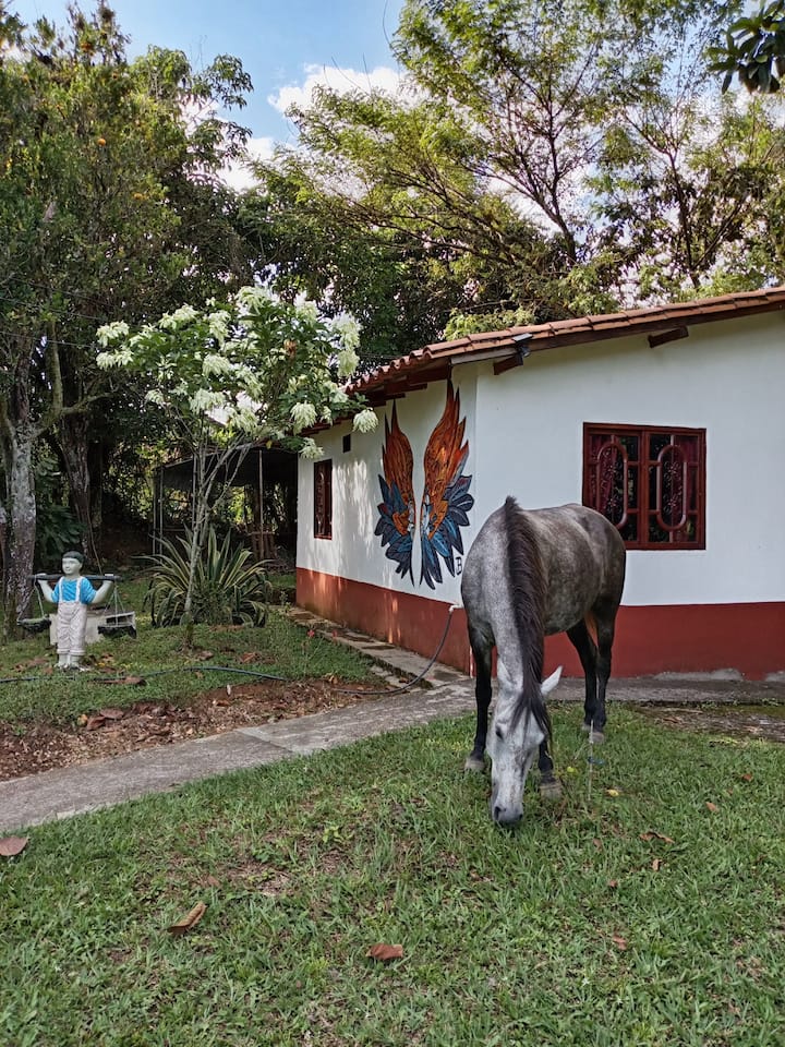 Cabaña San Rafael - Charalá