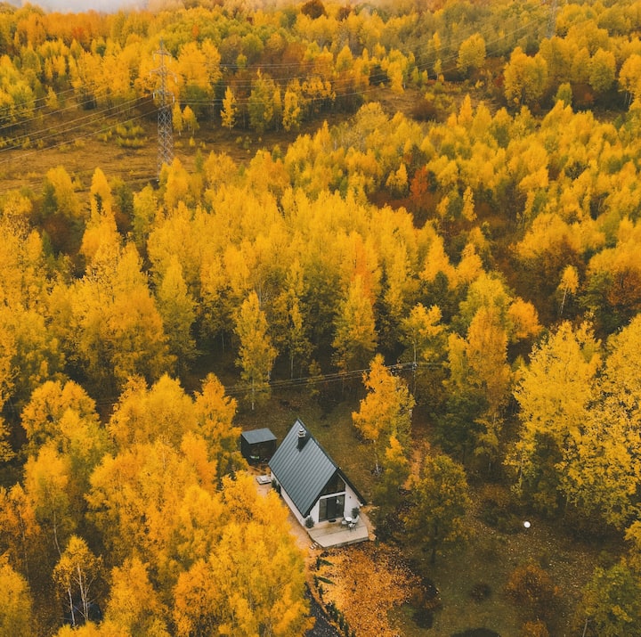 Wild Beauty Brezna - Montenegro