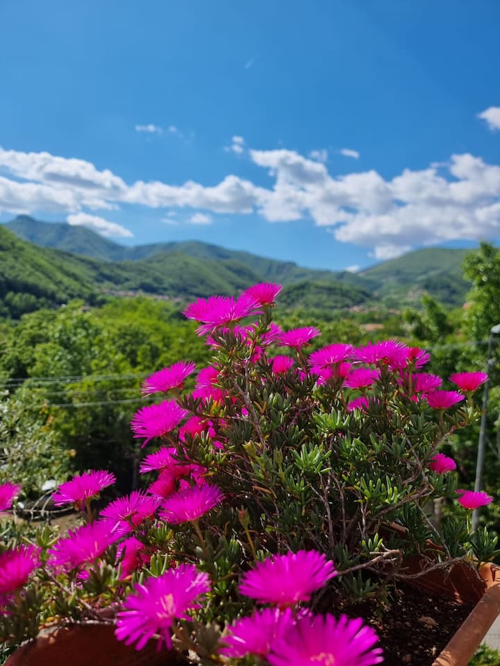 Casa Vacanze "Anna Home Holiday" - Tramonti