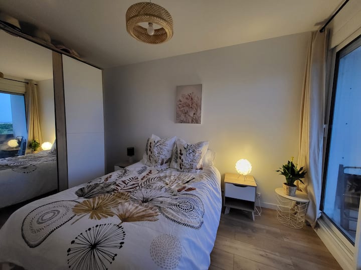 Habitación Romántica, Con Vista Al Centro - Toulouse