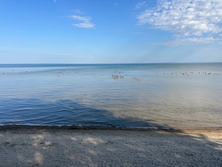 Beach Paradise - Wasaga Beach