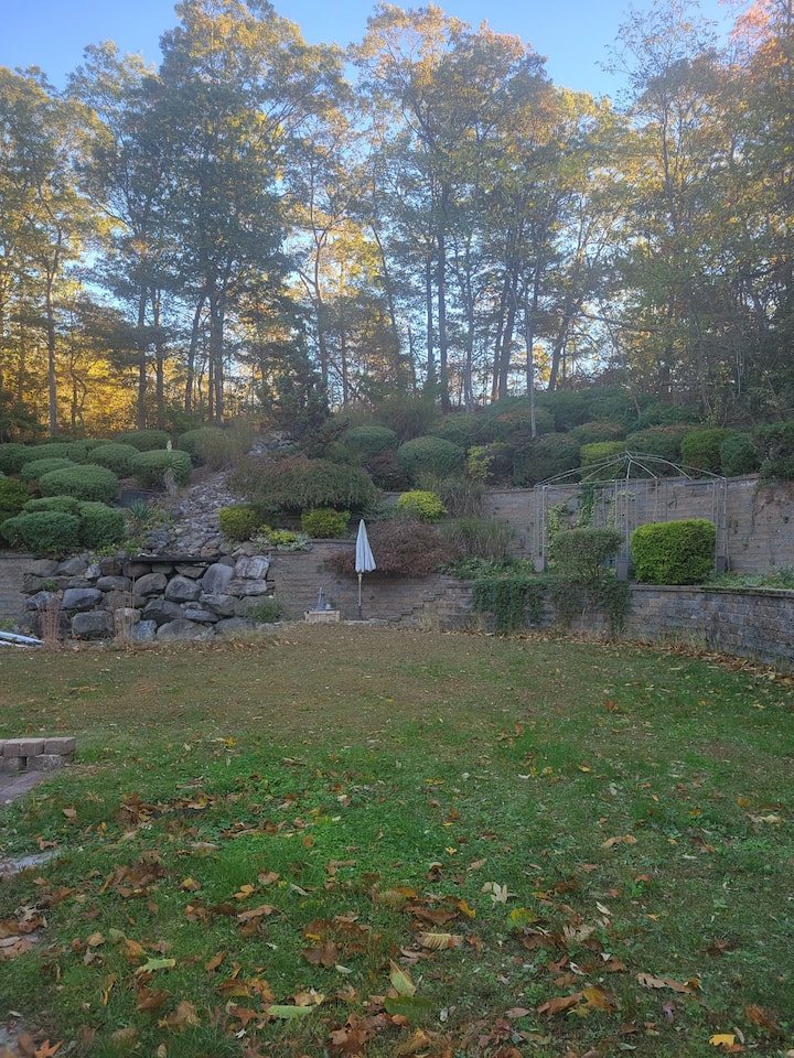 Spacious, Private Basement Apt. In Park Setting. - Deer Park, NY