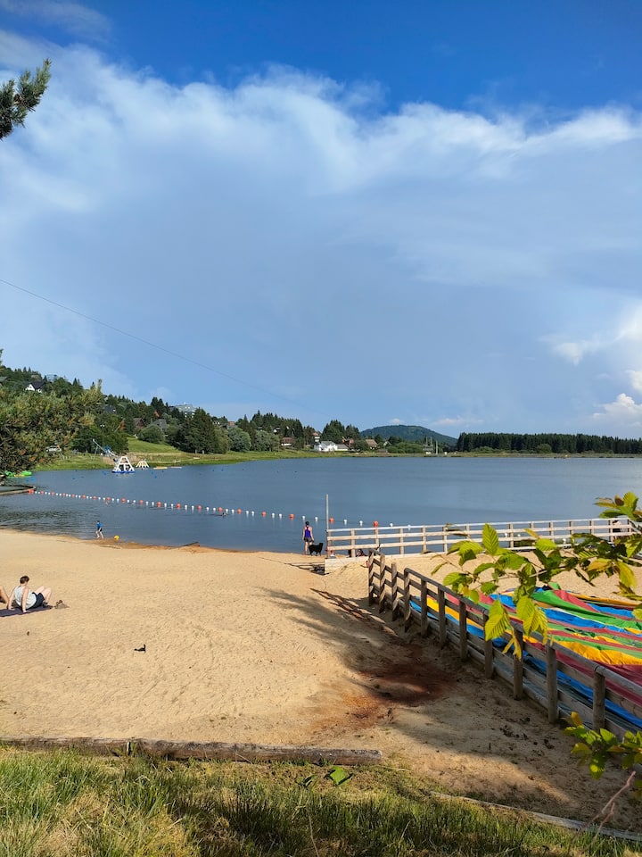 Appartement 6/8 Pers Proche Des Pistes Et Lac - Super-Besse
