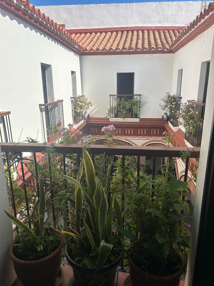 La Duquesa (Ranita) - Tarifa